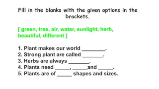 Types of plants | PPTX