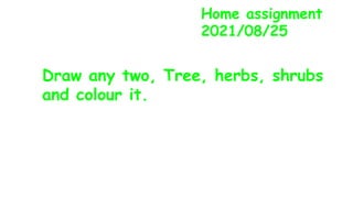 Types of plants | PPTX