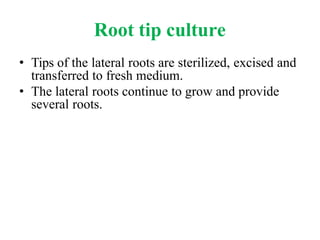 Types of Plant tissue culture.pptx