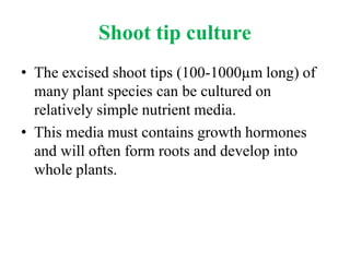 Types of Plant tissue culture.pptx
