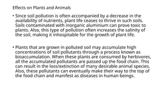 Pollution - Definition and Types of Pollutions | PPTX