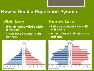 Types of population pyramids | PPT