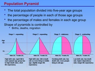 Types of population Pyramid and population.pptx