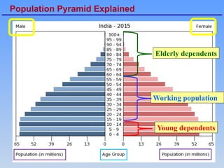 Types of population Pyramid and population.pptx