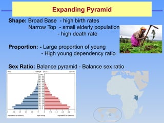 Types of population Pyramid and population.pptx