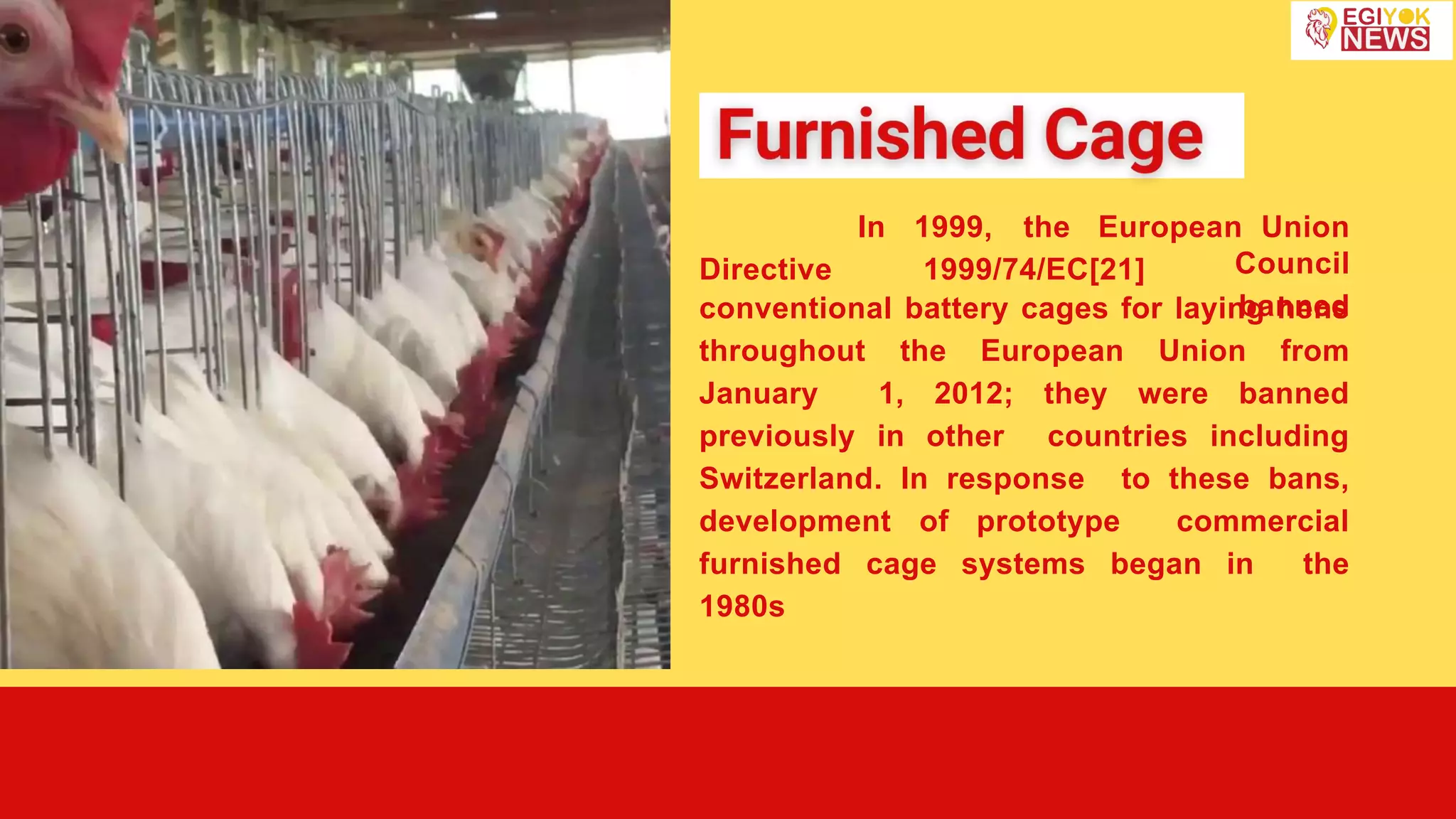 Types Of Poultry Farming in India | Egiyok News | PPT