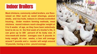 Types Of Poultry Farming in India | Egiyok News | PPT