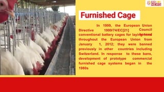 Types Of Poultry Farming in India | Egiyok News | PPT