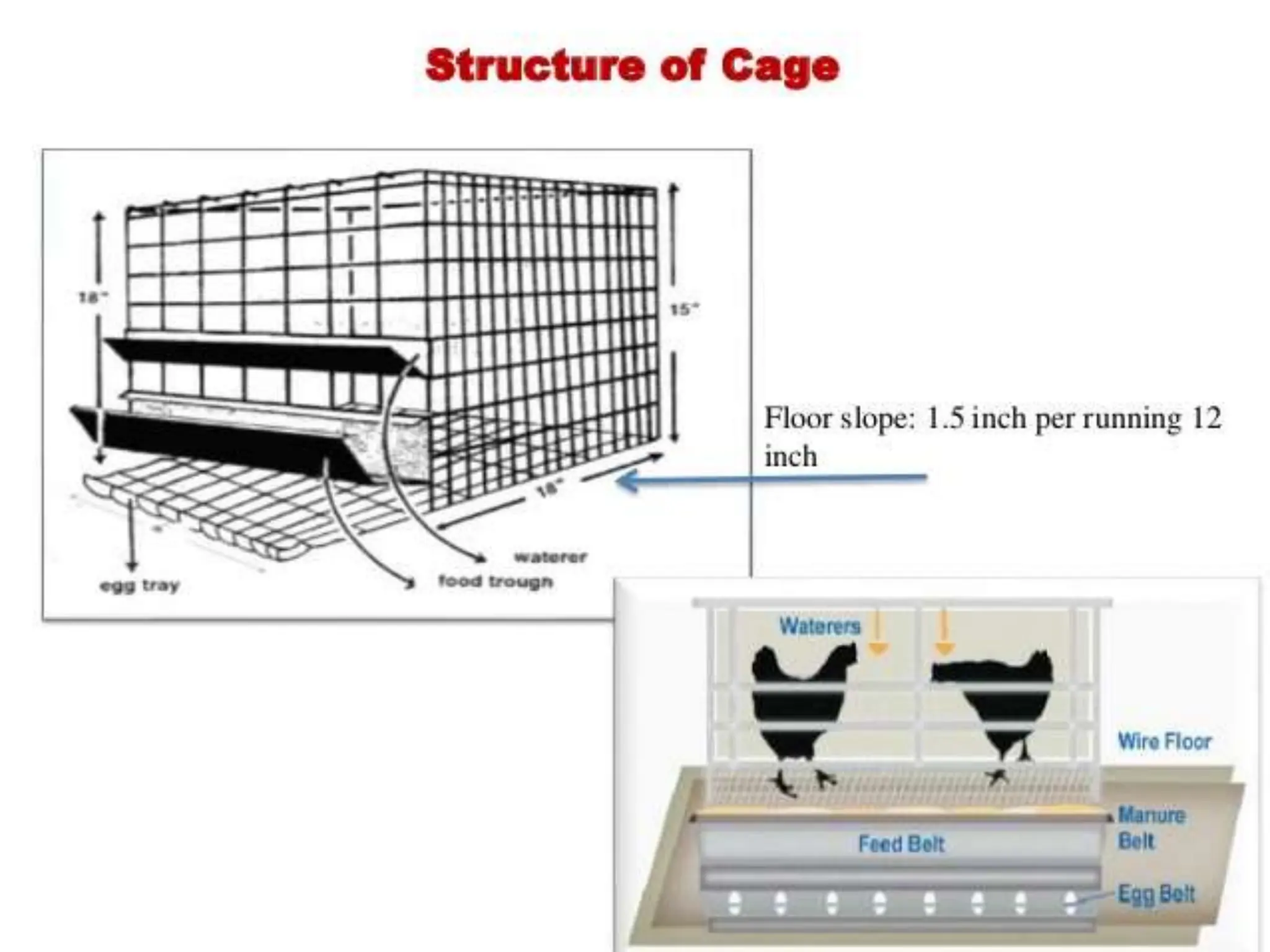 Types of Poultry Housing for poultry production.ppt