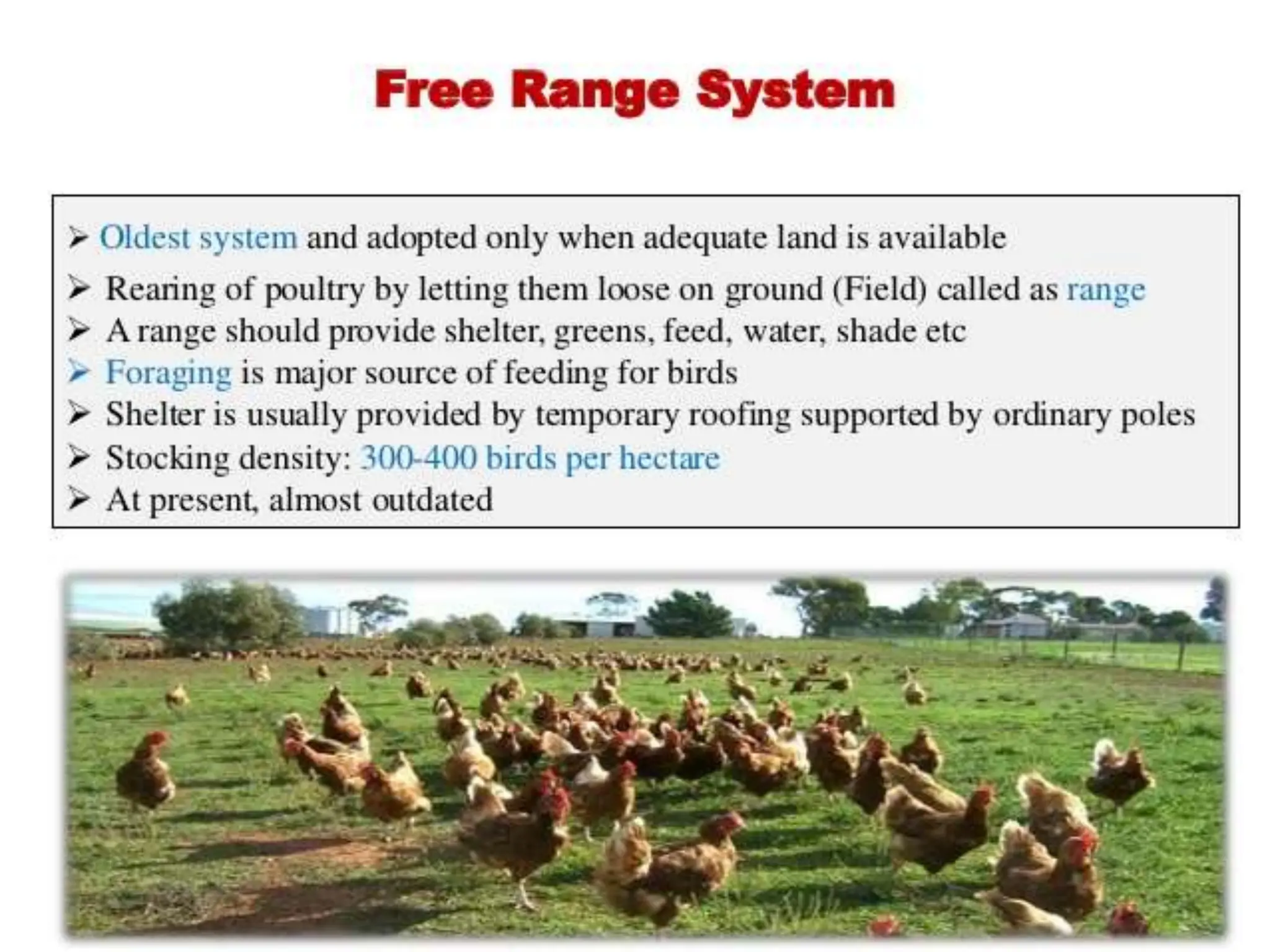Types of Poultry Housing for poultry production.ppt