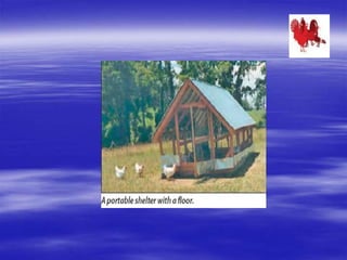 Types of Poultry Housing for poultry production.ppt