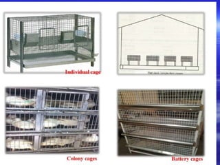 Types of Poultry Housing.ppt Types of Poultry Housing.ppt