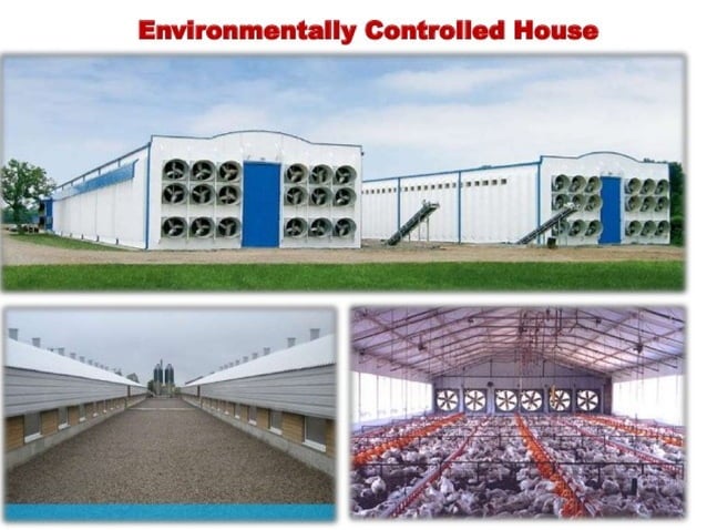 Types of Poultry Housing.ppt Types of Poultry Housing.ppt