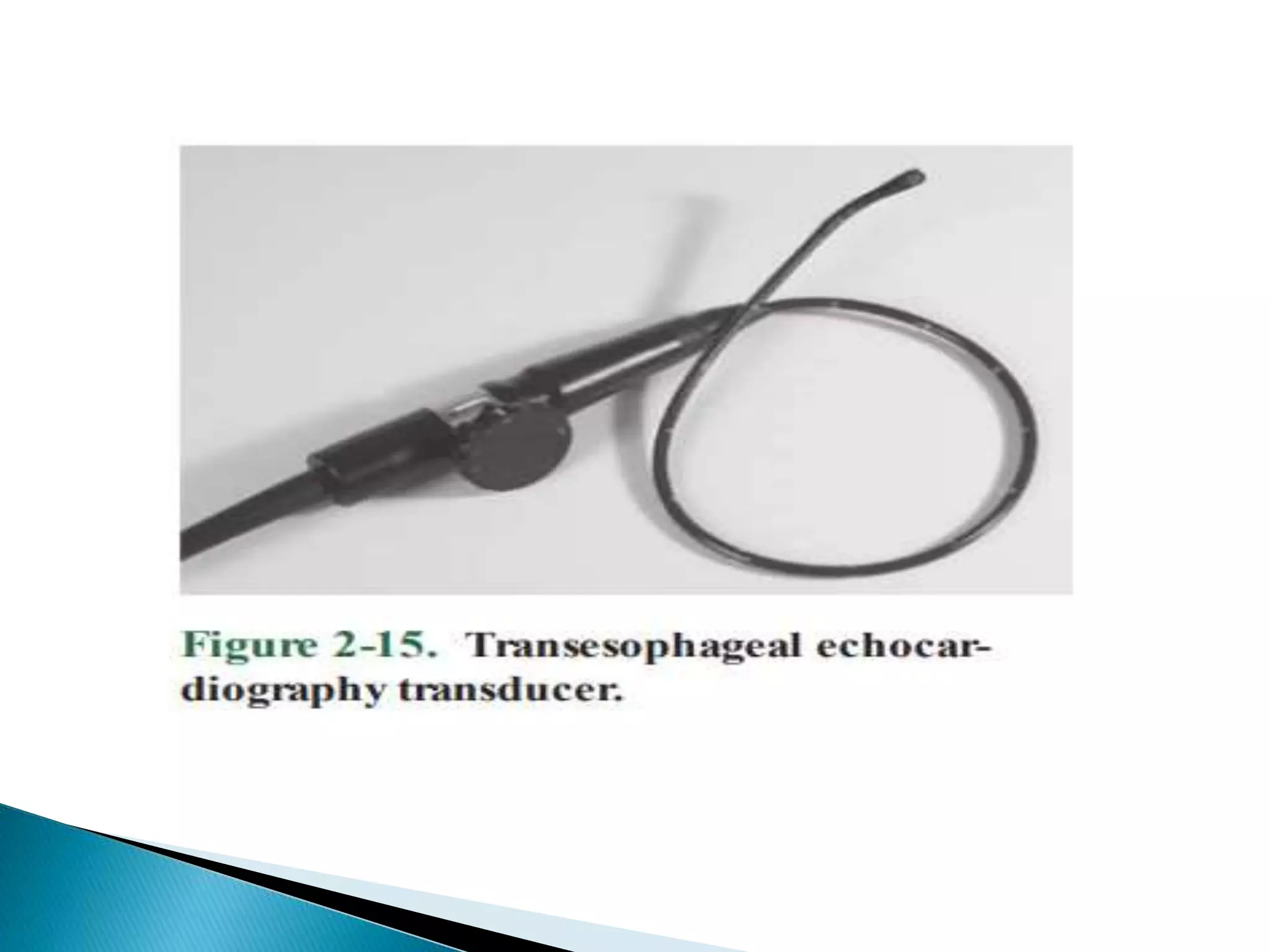 Types of Ultrasound Probes | PPTX