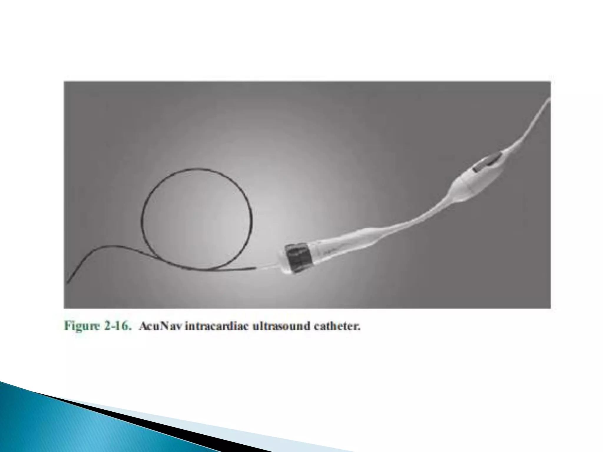Types of Ultrasound Probes | PPTX