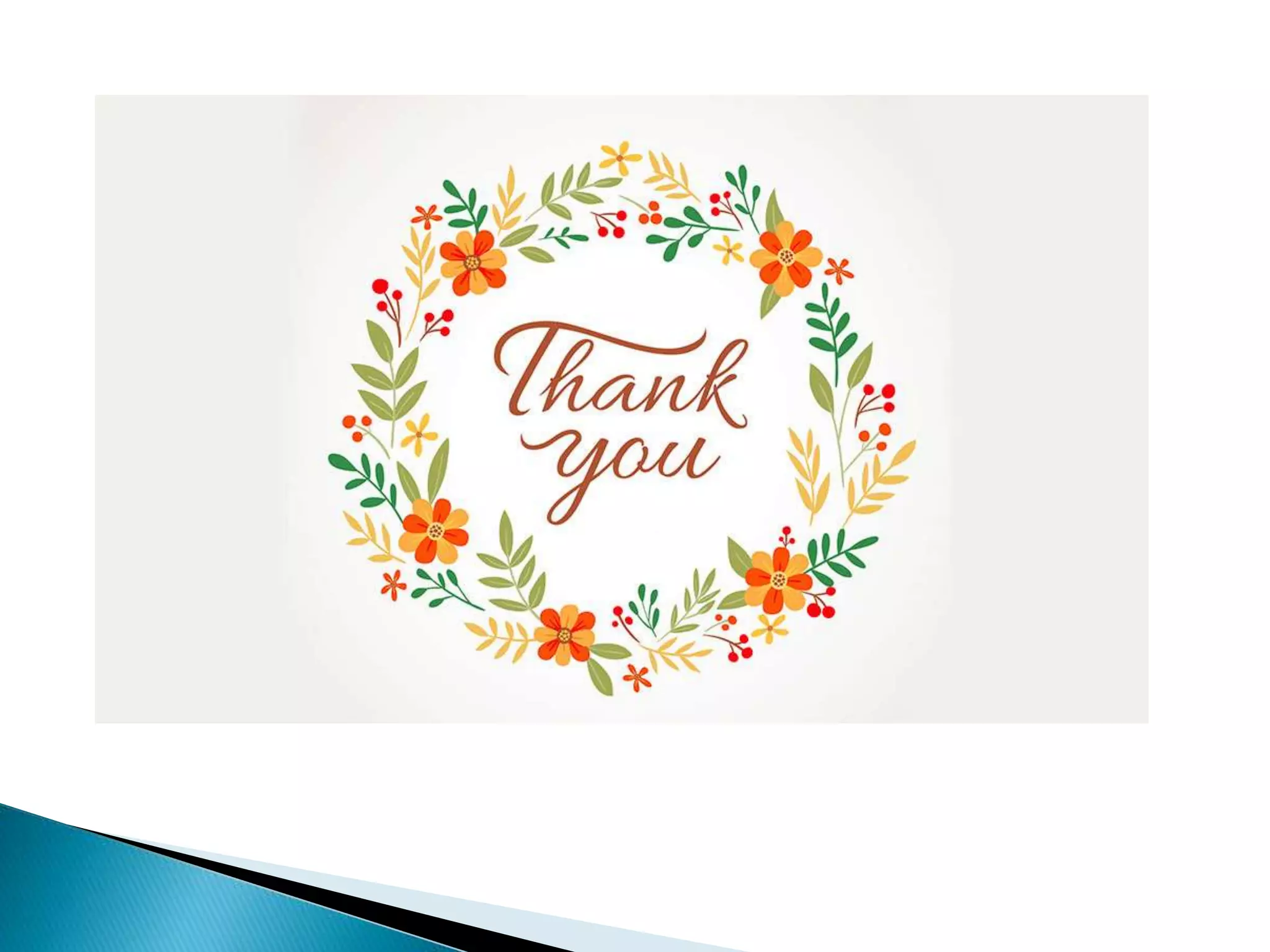 Types of Ultrasound Probes | PPTX