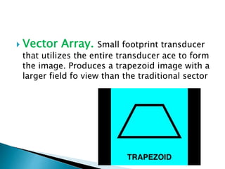 Types of Ultrasound Probes | PPTX | Medical Tests | Medical Health