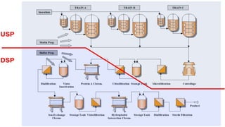 Types of processing.pptx