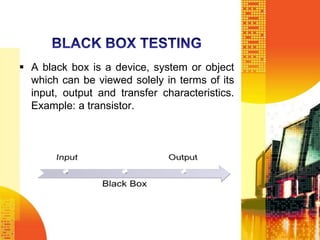 Types of program testings and errors | PPTX