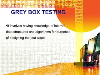 Types of program testings and errors | PPTX