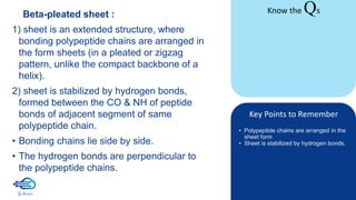 types of protein (1).pptx
