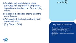 types of protein (1).pptx