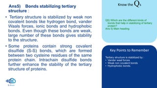 types of protein (1).pptx