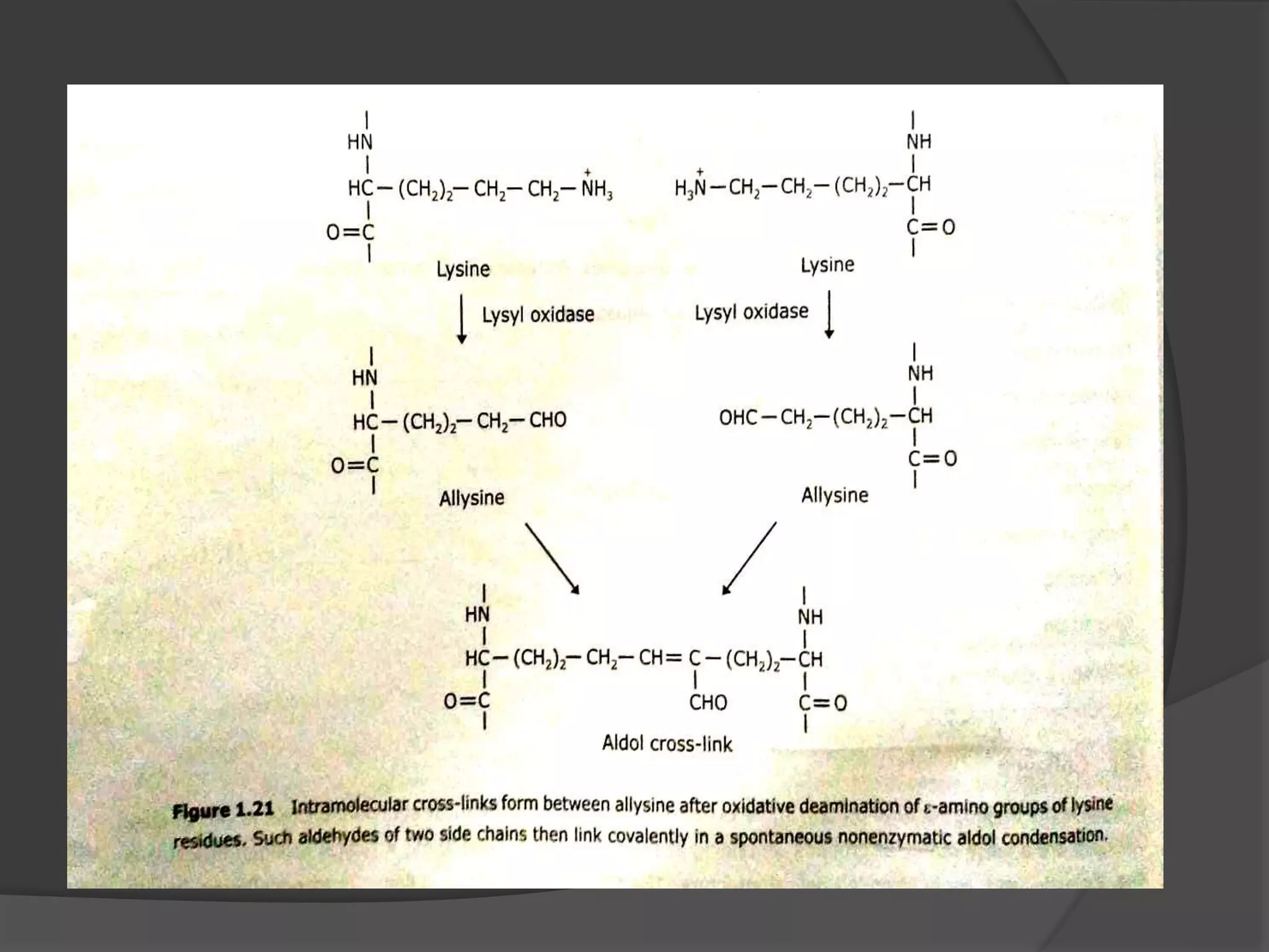 Types of proteins and its classifications.pptx