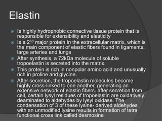Types of proteins and its classifications.pptx
