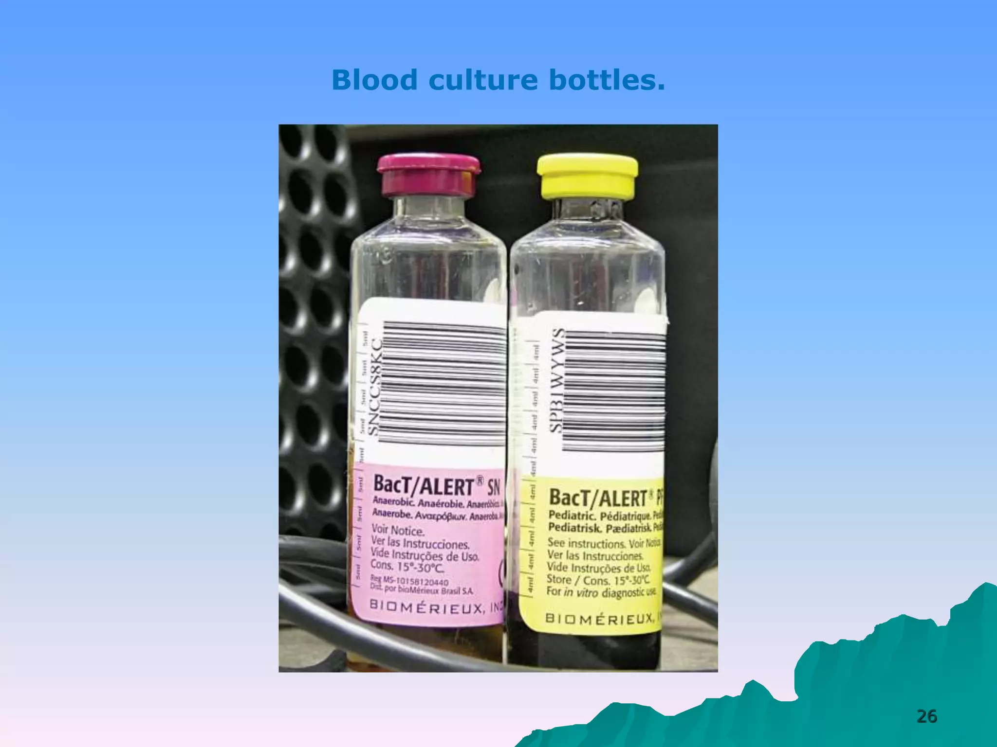 Types of punctures | PPTX