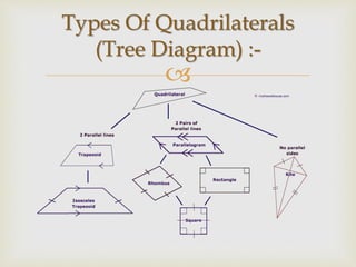Quadrilateral Diagram Tree