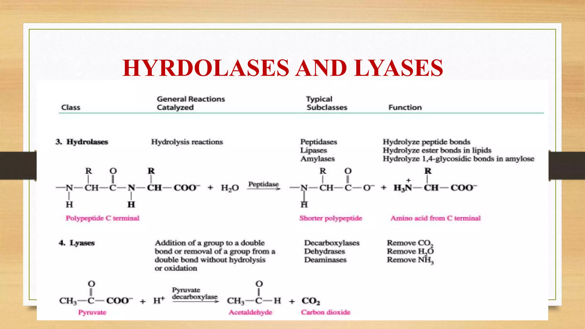 Types of reactions in biological system and enzyme classification ...