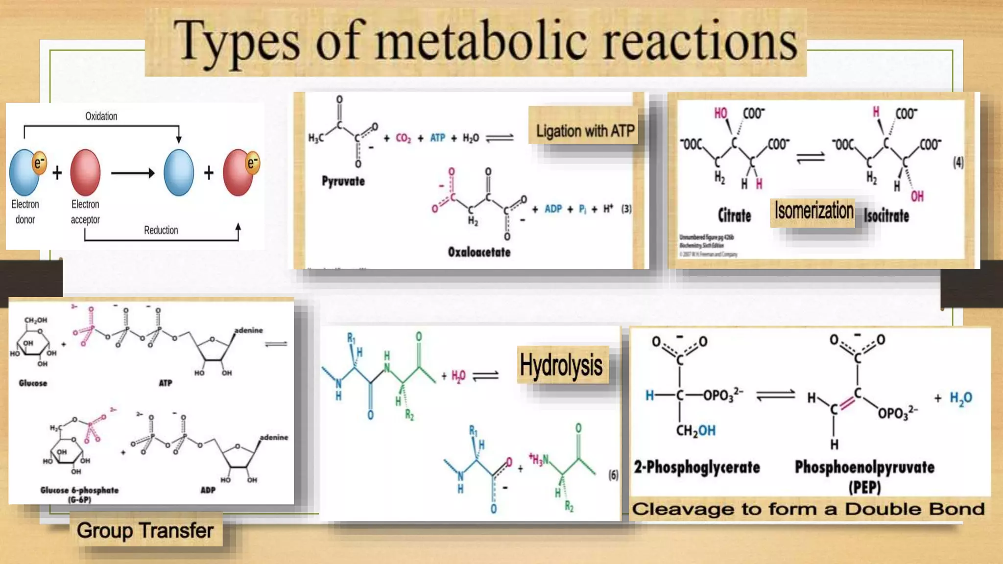 Types of reactions in biological system and enzyme classification ...