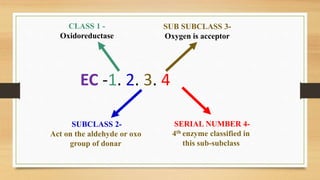 Types of reactions in biological system and enzyme classification ...