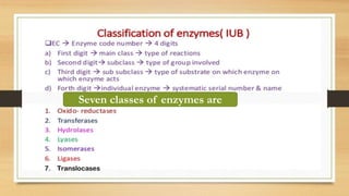 Types of reactions in biological system and enzyme classification ...