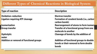 Types of reactions in biological system and enzyme classification ...