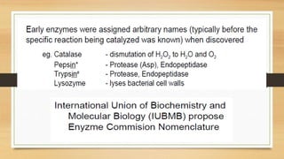 Types of reactions in biological system and enzyme classification ...