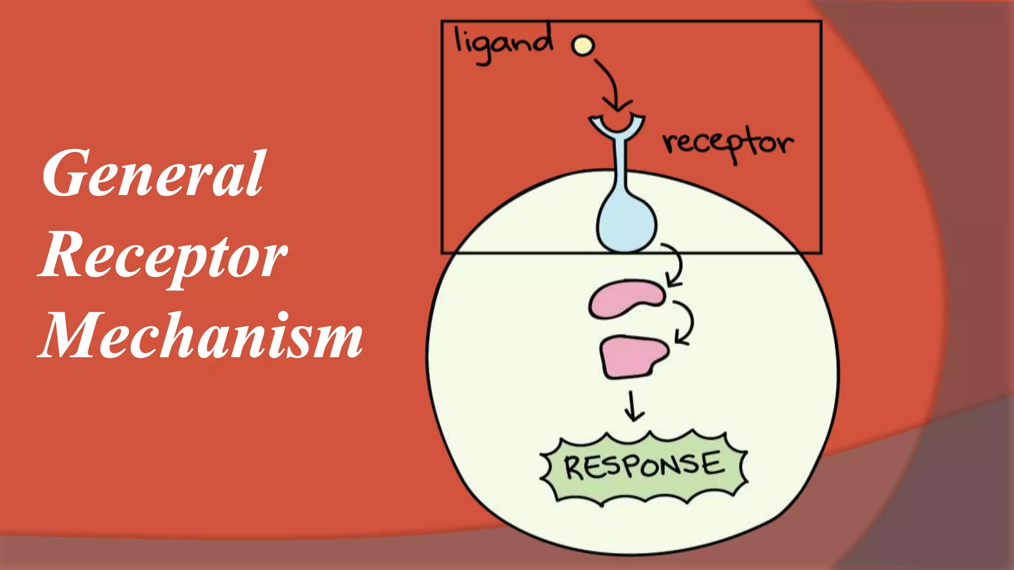 Types of receptor | PPTX
