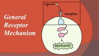Types of receptor | PPTX
