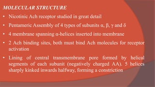 Types of receptor | PPTX