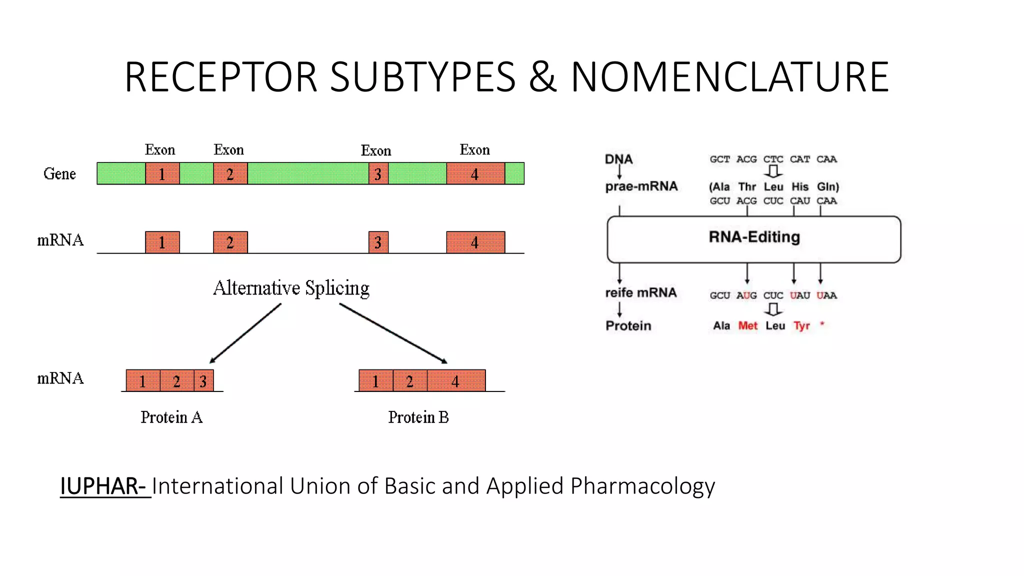 Types of receptors | PPTX