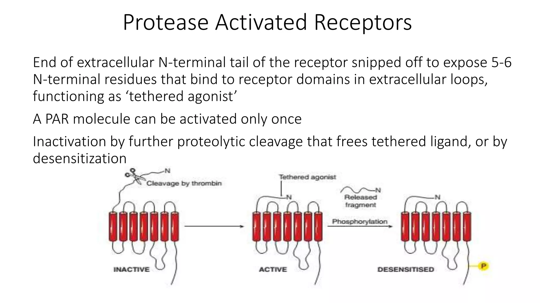 Types of receptors | PPTX