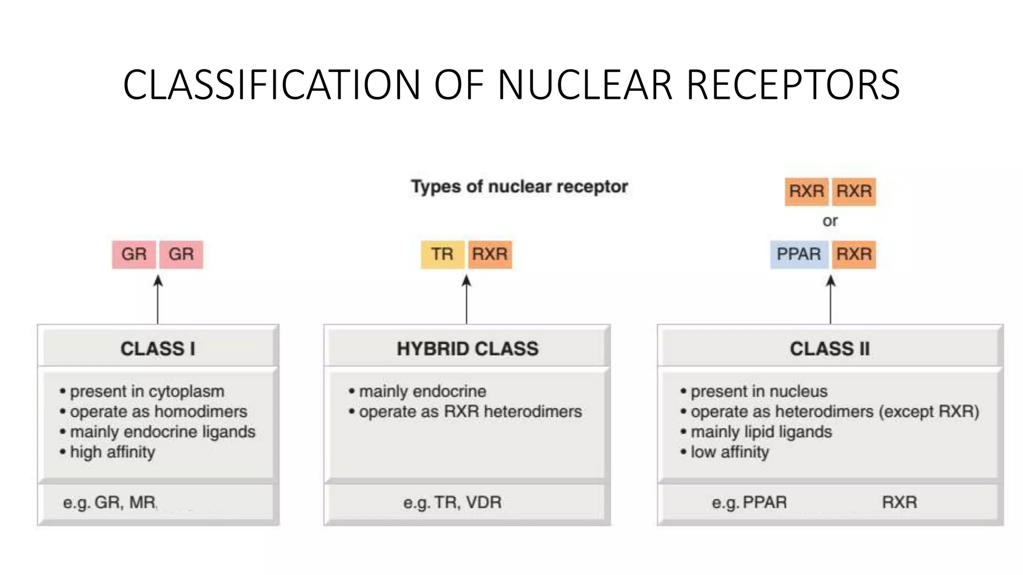 Types of receptors | PPTX