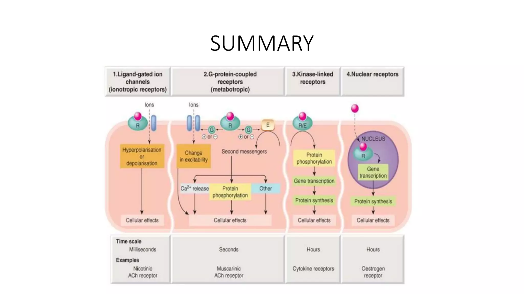 Types of receptors | PPTX | Chemistry | Science