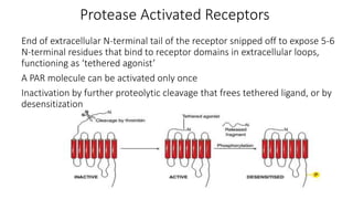 Types of receptors | PPTX