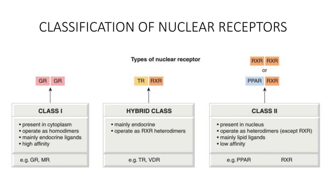 Types Of Receptors