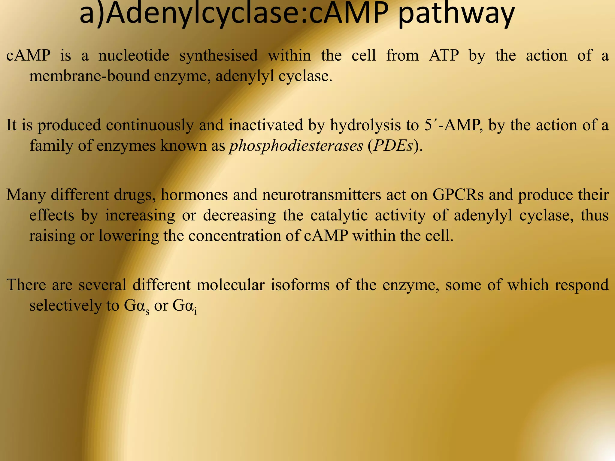 Types of receptor signal transduction pathways | PPTX