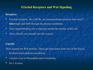 Types of Receptors in cell signal(1).ppt