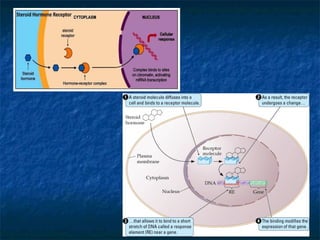 Types of Receptors in cell signal(1).ppt
