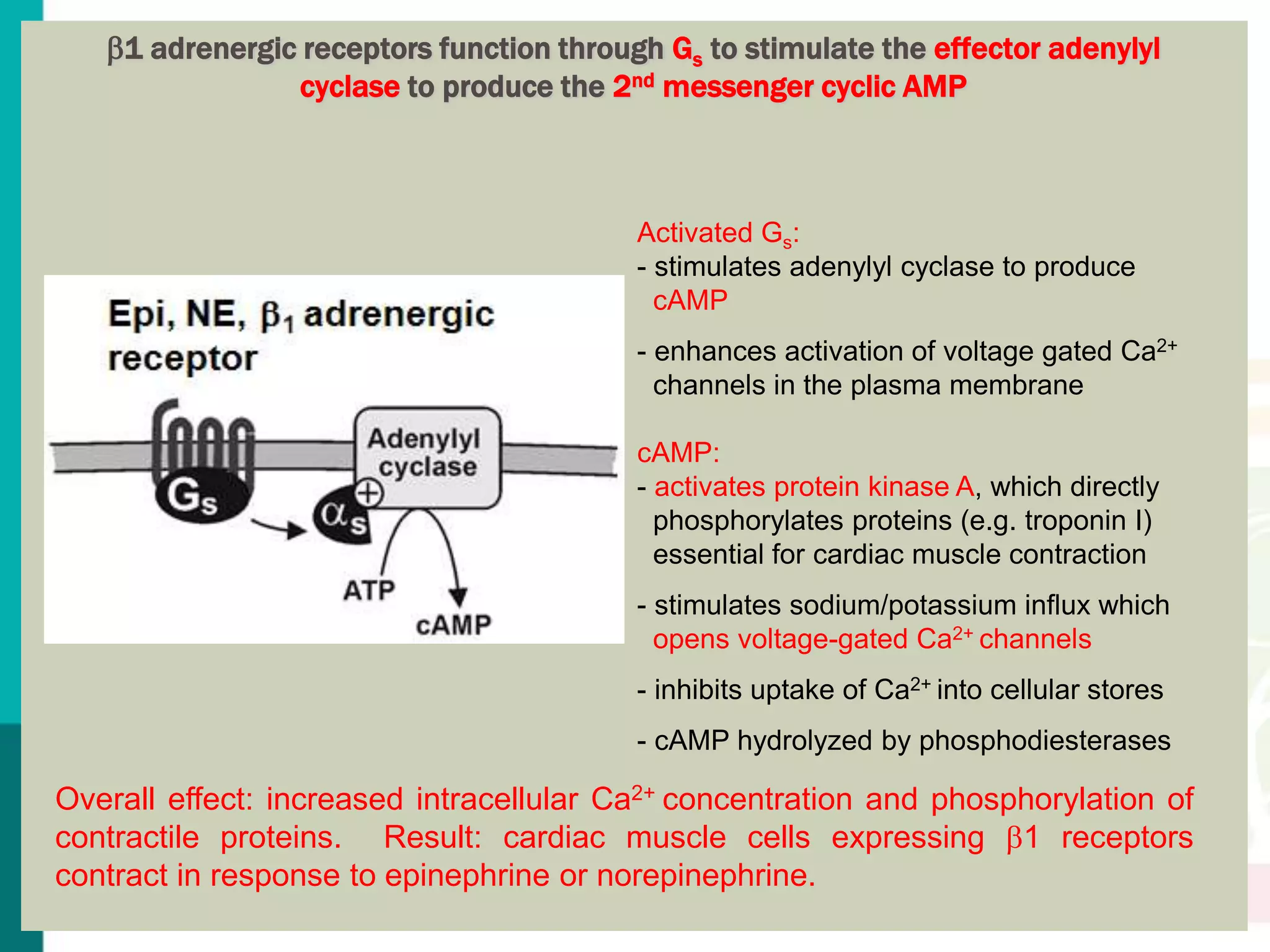 Types of receptors pharmacology | PPTX